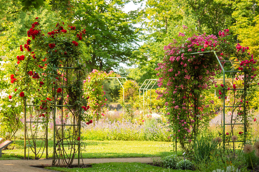 Ostdeutscher Rosengarten Forst (Lausitz) - Ihr Besuch im Park
